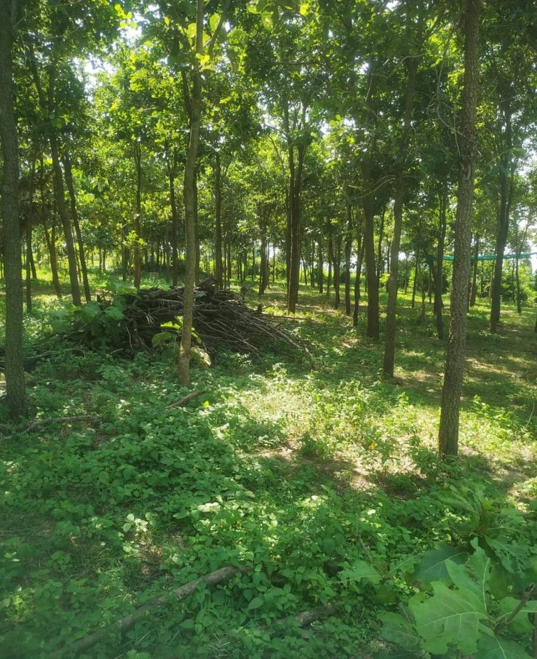 Big boost to biodiversity conservation in Andhra Pradesh: Learn how ...